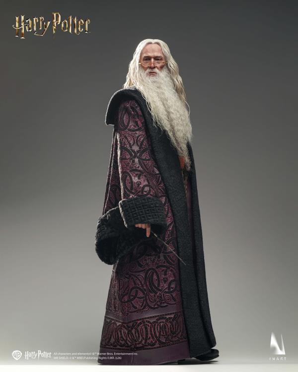 Harry Potter and the Chamber of Secrets InArt Albus Dumbledore (Premium ...
