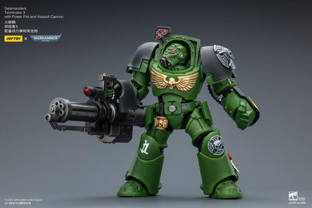 Warhammer 40,000 Salamanders Terminator (Ver. 3) with Power Fist and ...