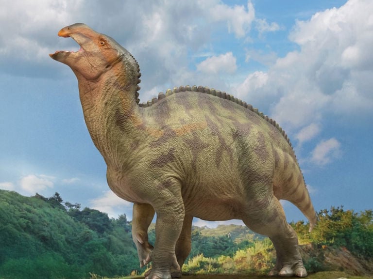 Prehistoric Art Models Lanqi the Lanzhousaurus Figure
