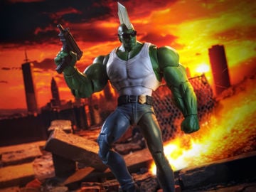 Savage Dragon McFarlane Elite Edition Savage Dragon (Image Comics ...